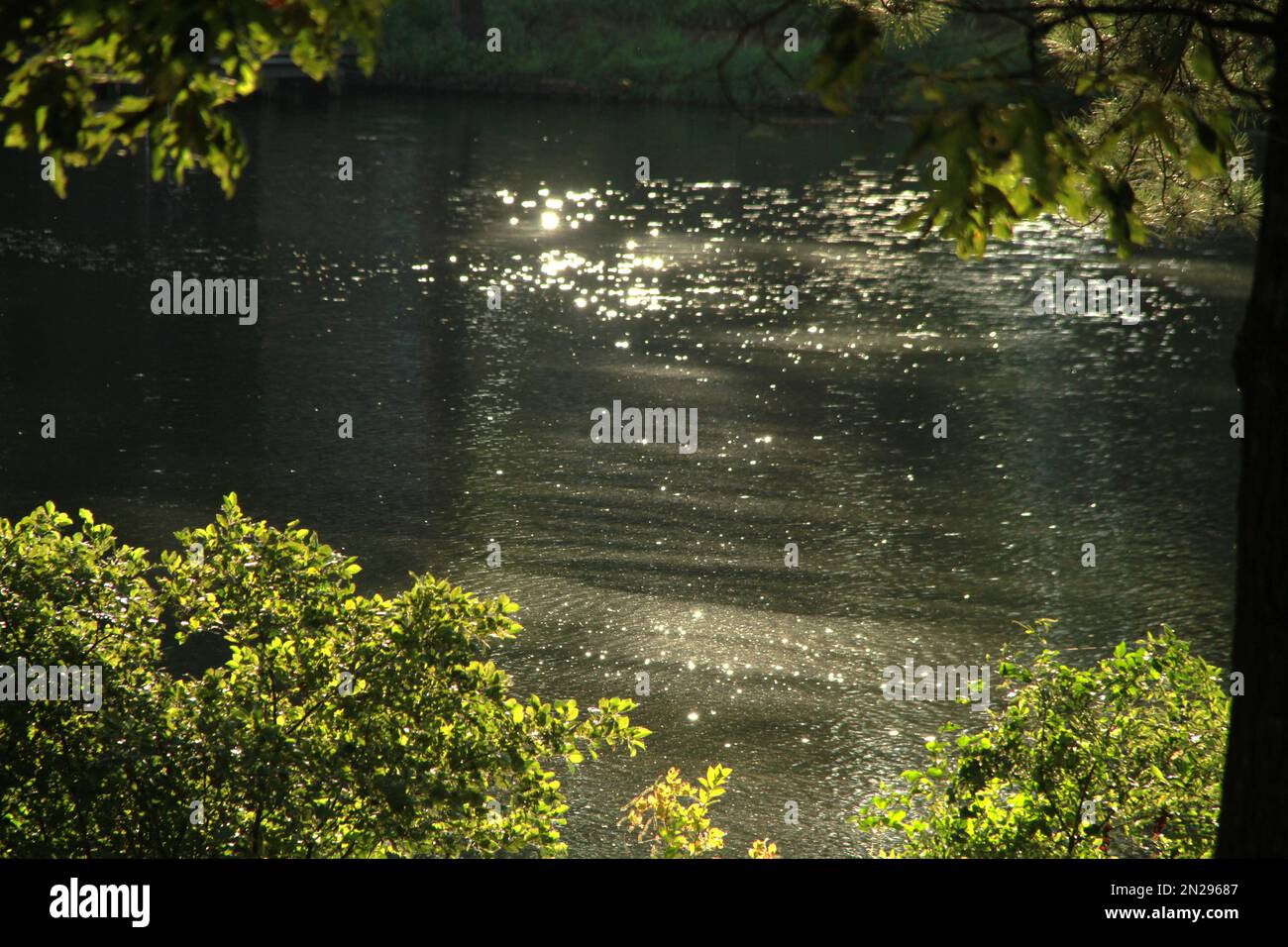 Calm river water glittering in the sunlight Stock Photo - Alamy