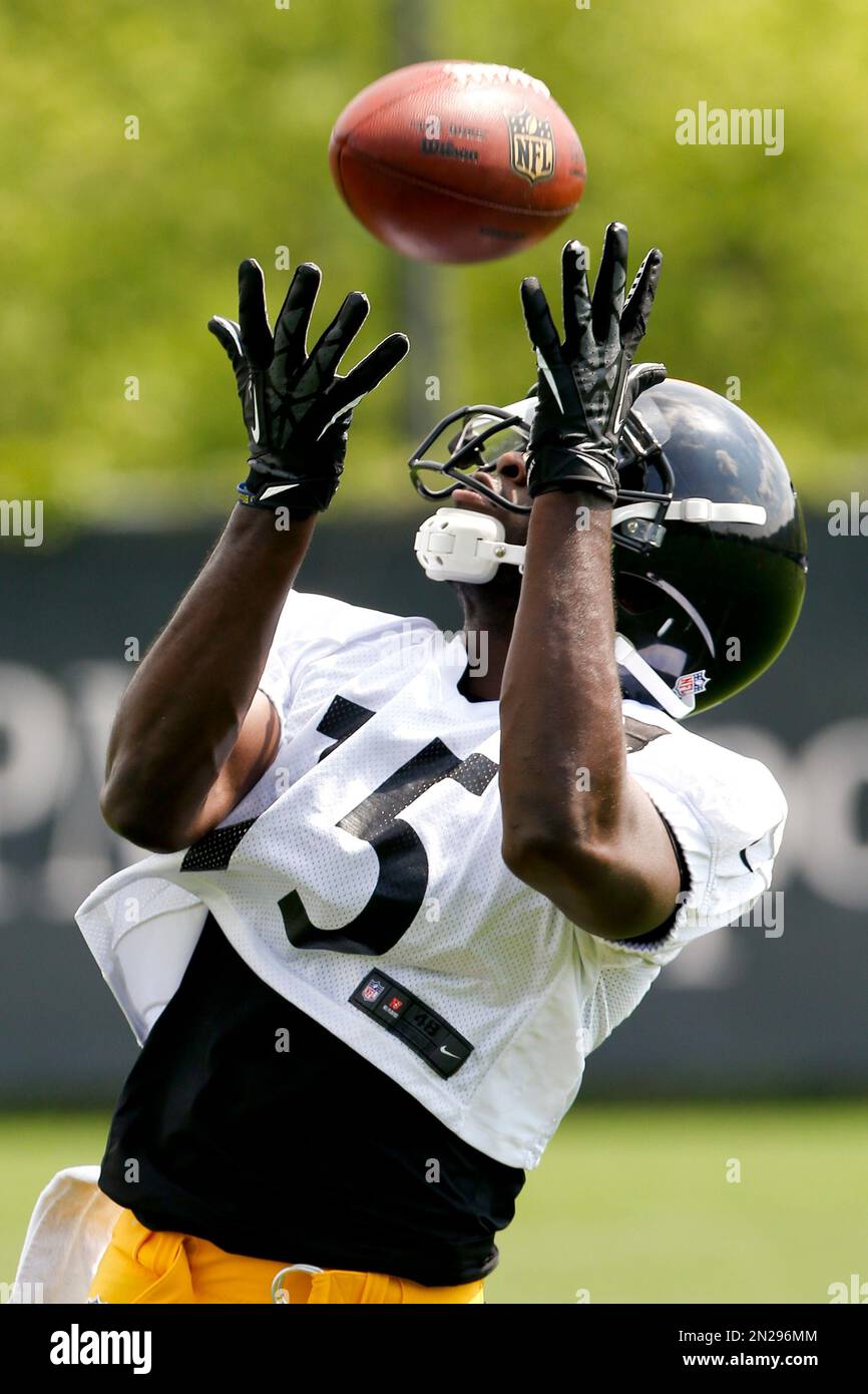 Pittsburgh Steelers wide receiver Devin Gardner (15) goes through ...