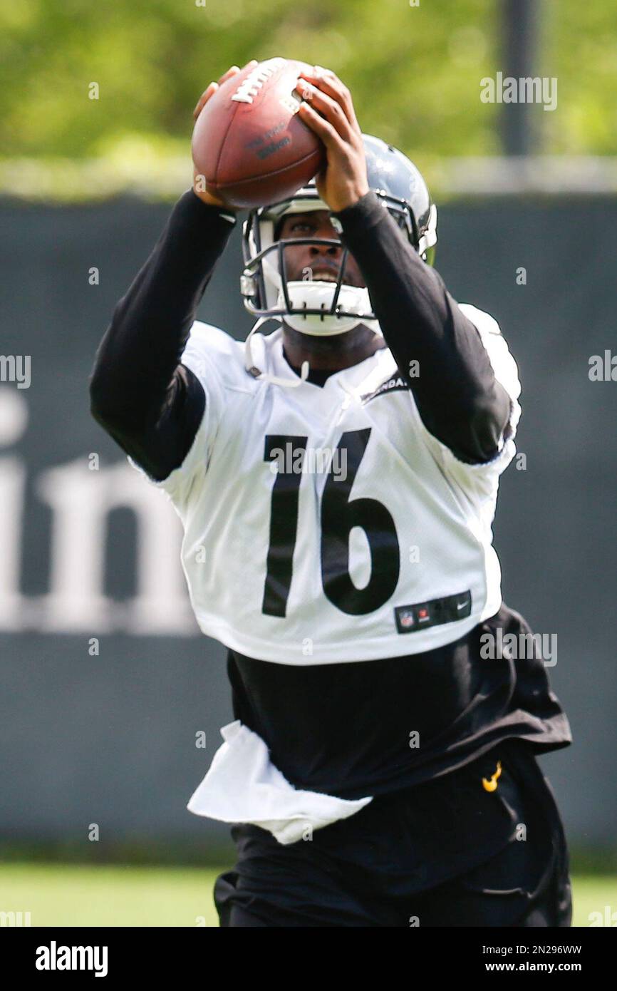 Pittsburgh Steelers wide receiver Tyler Murphy (16) makes a catch ...