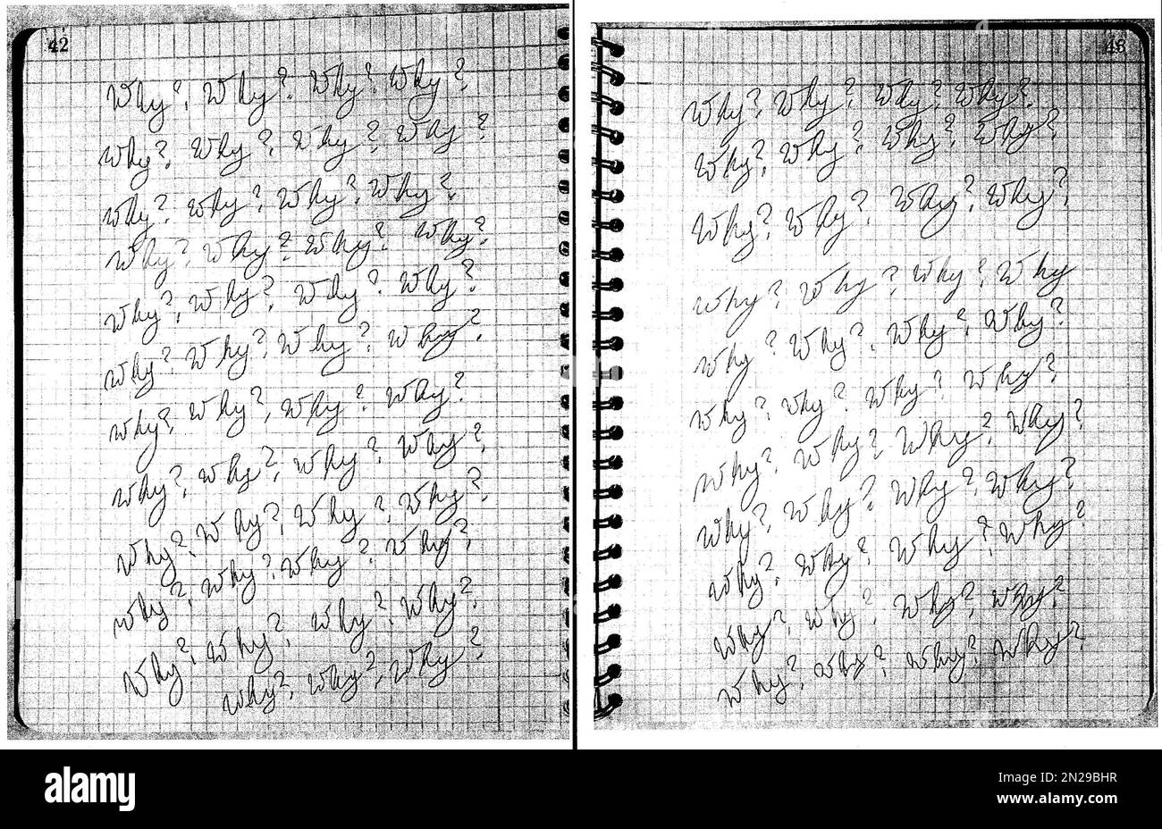 This screenshot made from a pdf released by the Colorado Judicial Department on Wed., May 27 ...