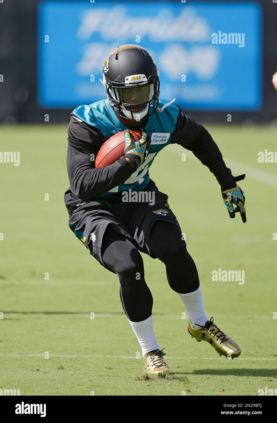Jacksonville Jaguars running back T.J.Yeldon runs with the ball during ...