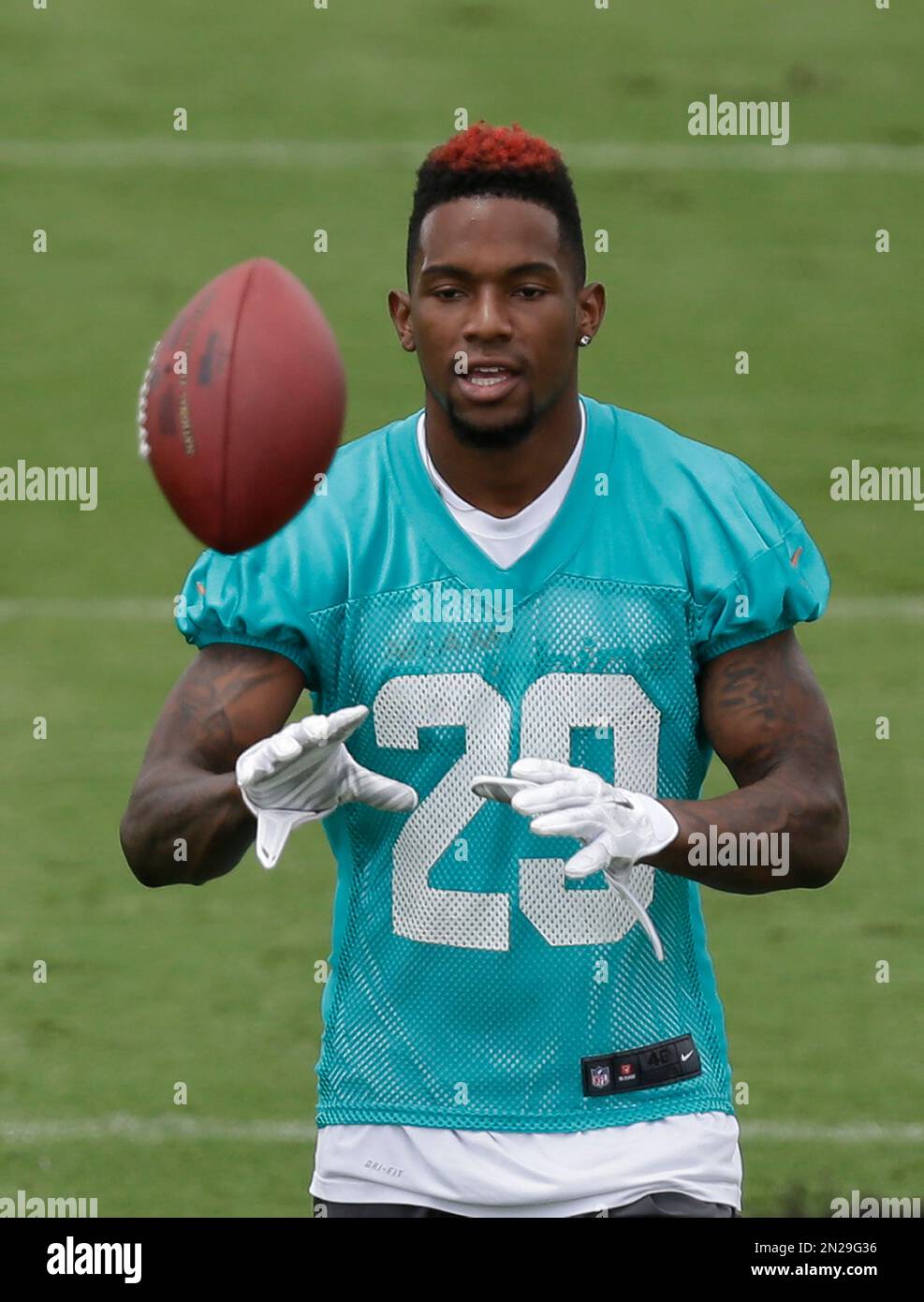 Miami Dolphins strong safety Will Davis catches a ball during an NFL ...