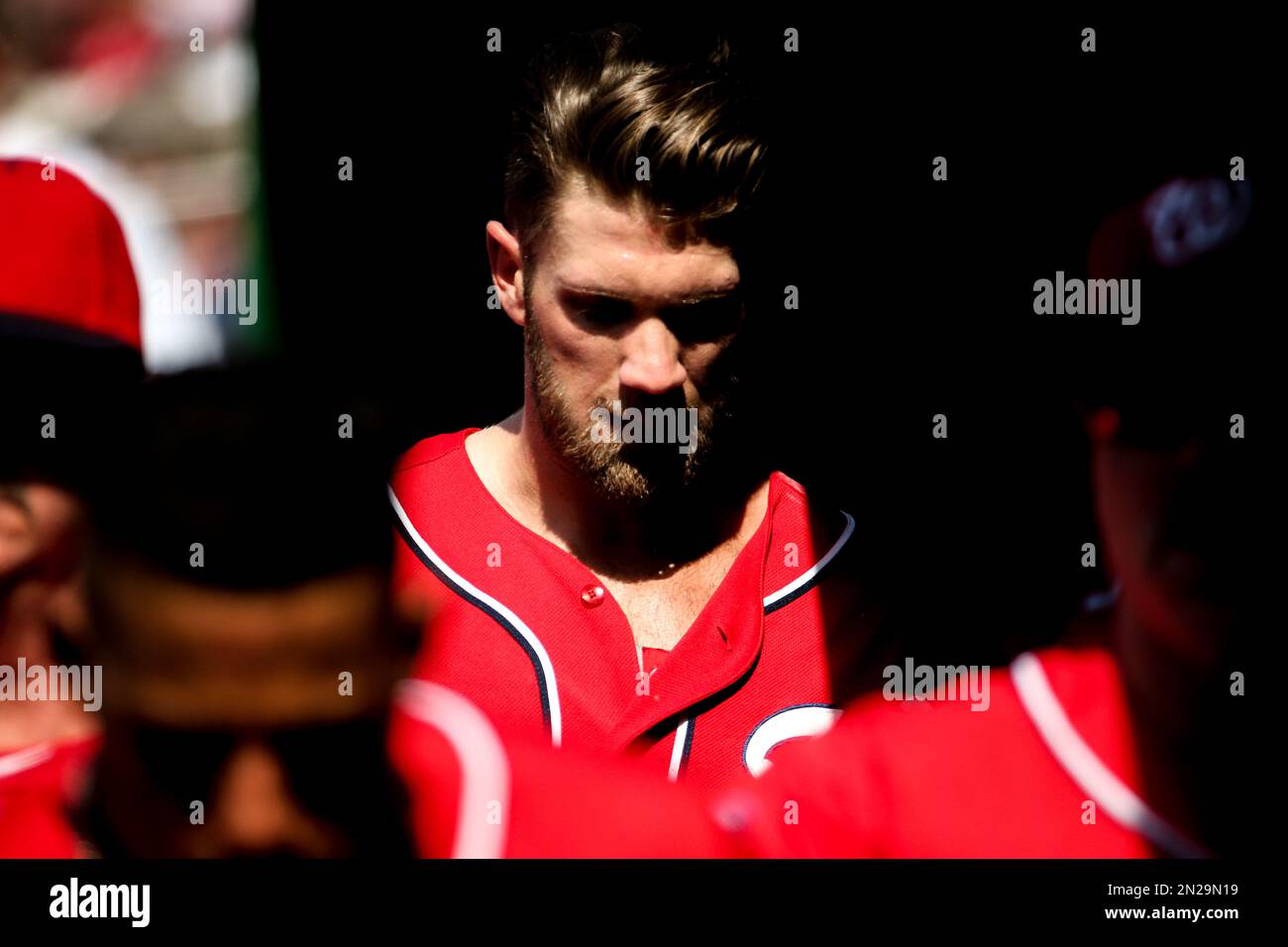 Washington Nationals' Bryce Harper (34) walks through the dugout during ...