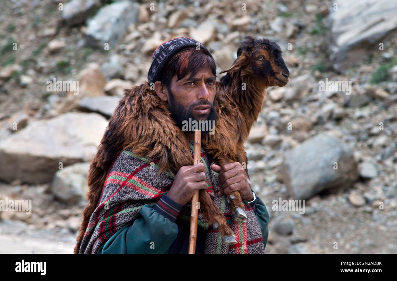 A Kashmiri Bakarwal carries a goat as he leads his cattle near Dubgan ...