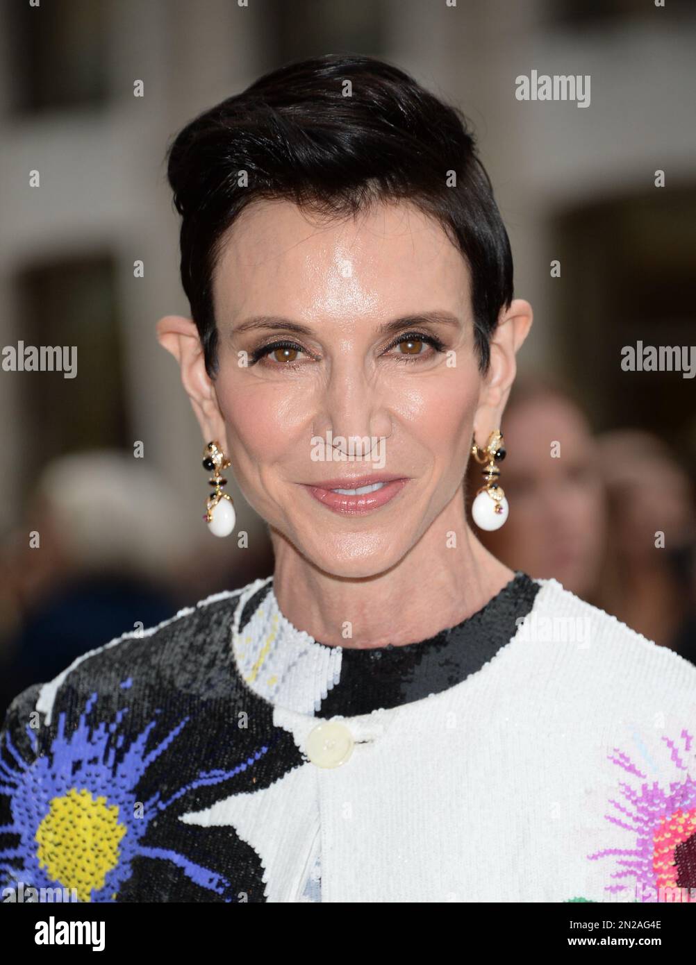 Amy Fine Collins attends the American Ballet Theatre's 75th Anniversary ...