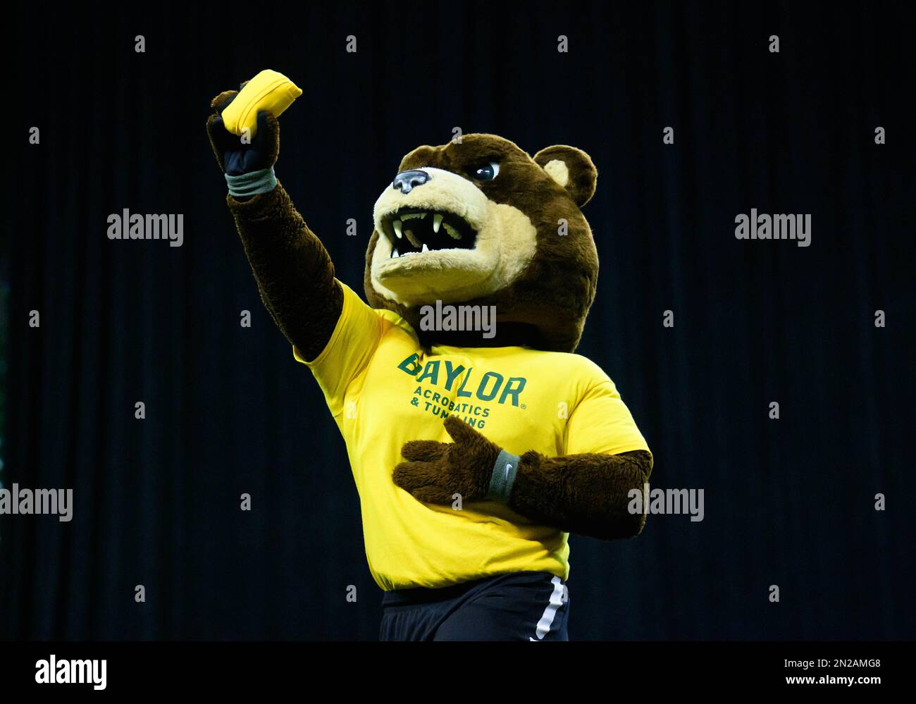 Ferrell Center Waco, Texas, USA. 5th Feb, 2023. Baylor Bears mascot ...