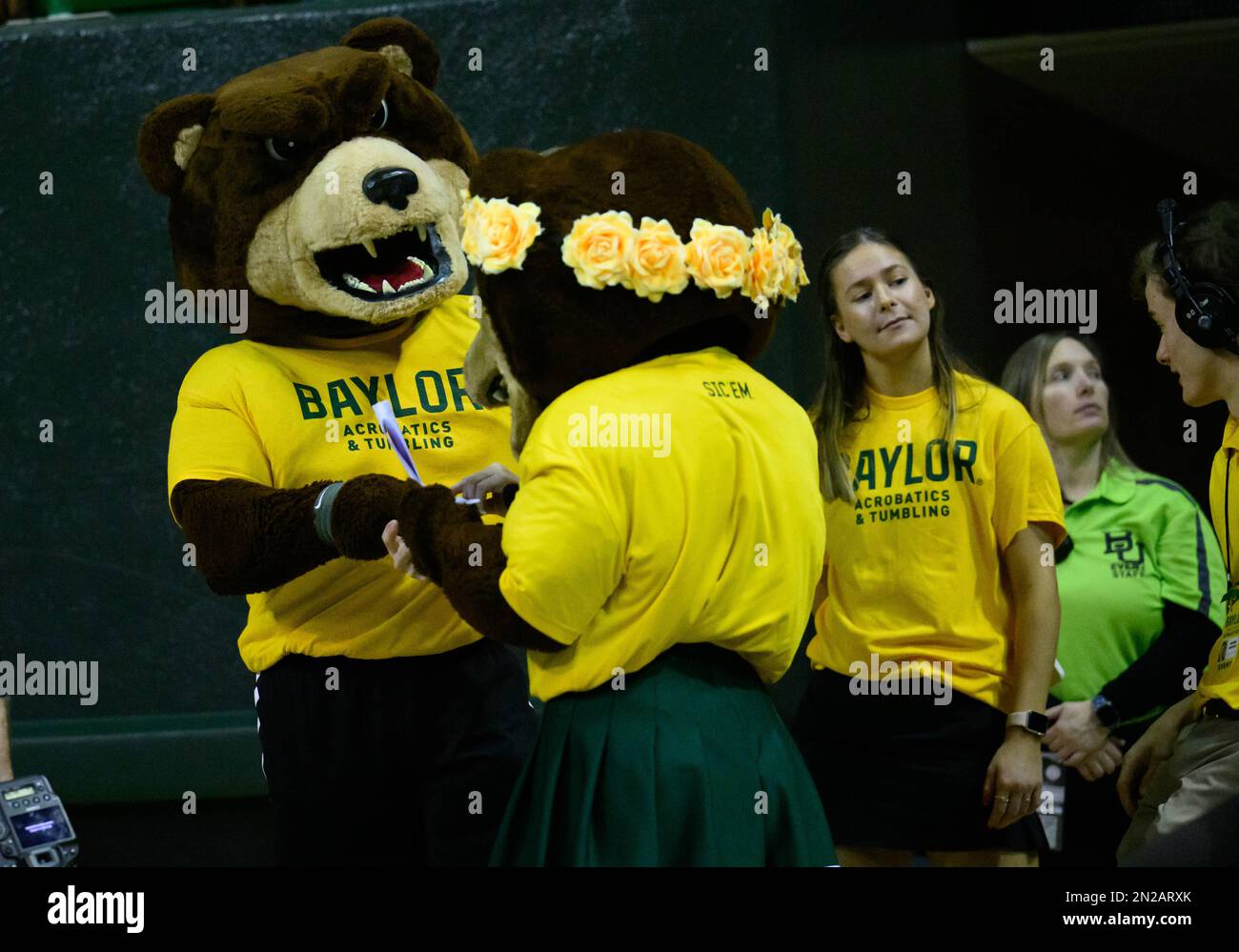 Ferrell Center Waco, Texas, USA. 5th Feb, 2023. Baylor Bears mascots ...