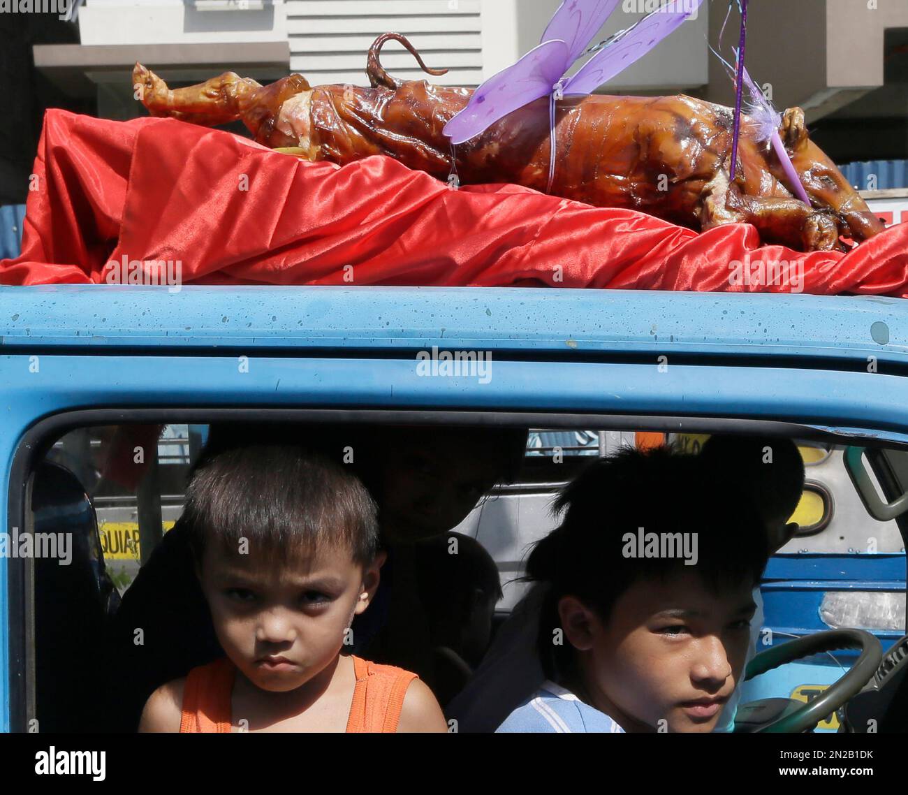 A roast pig dressed as a butterfly is paraded through the streets of La ...