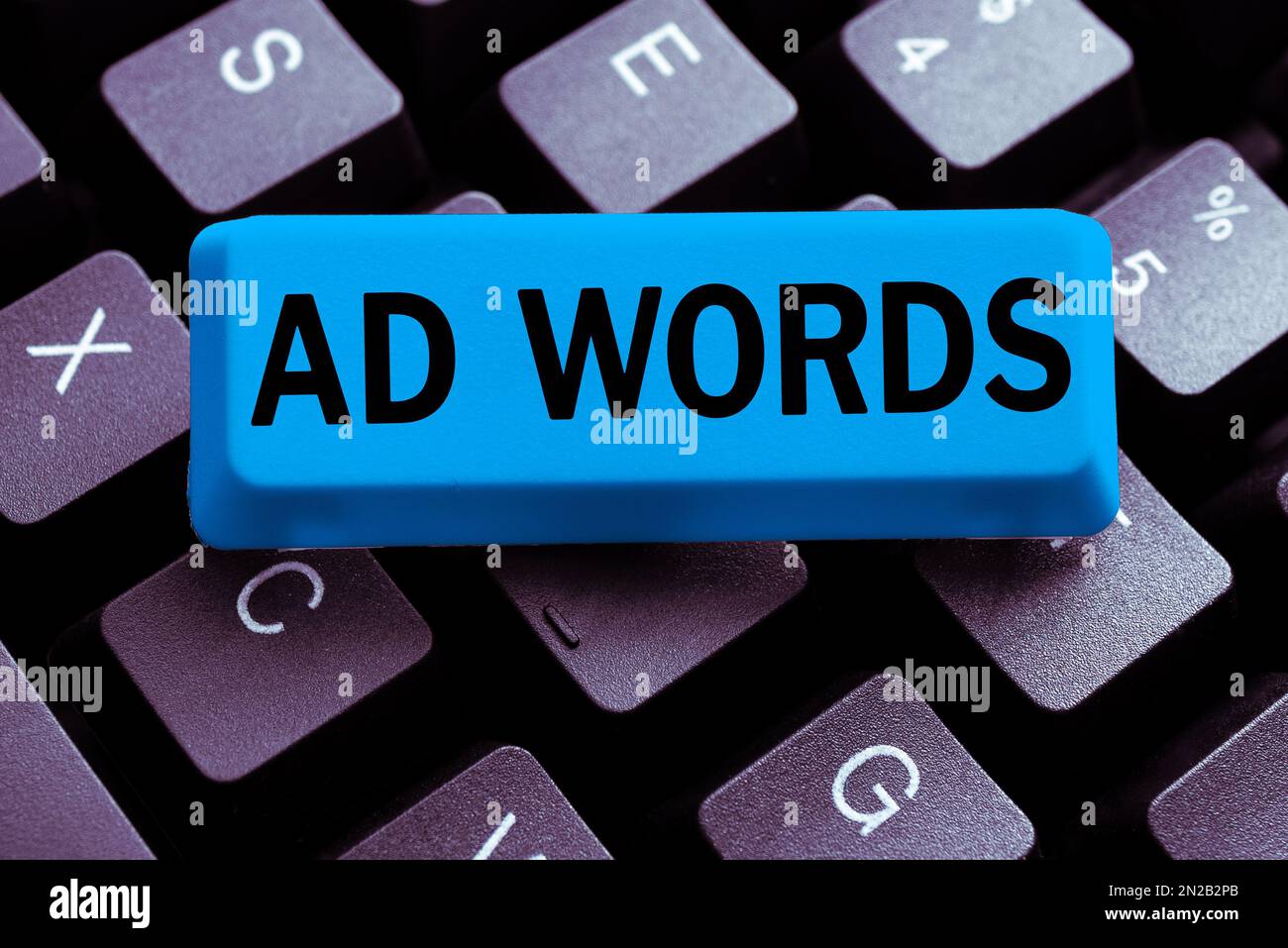 Text showing inspiration Ad Words. Business showcase oversee and ...