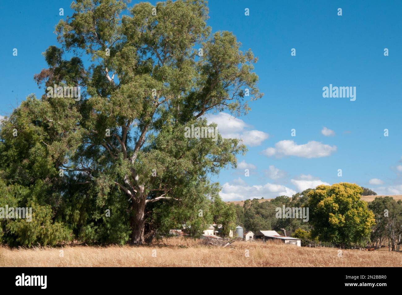 Farmhouse outside Guildford in the historic central goldfields of ...