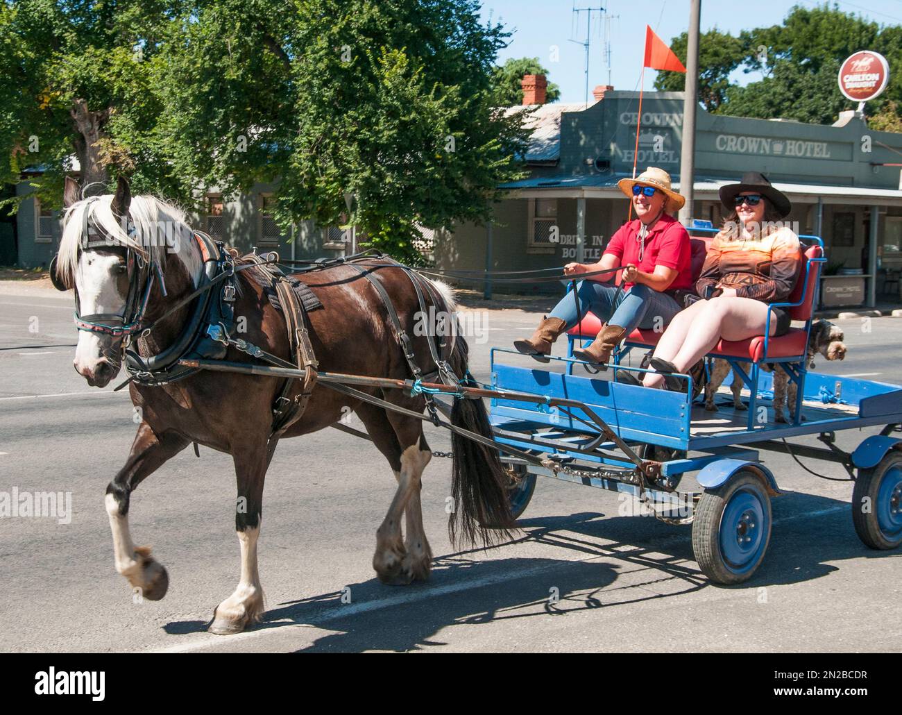 Pony ride at Newstead, an historic central goldfields town in Victoria ...