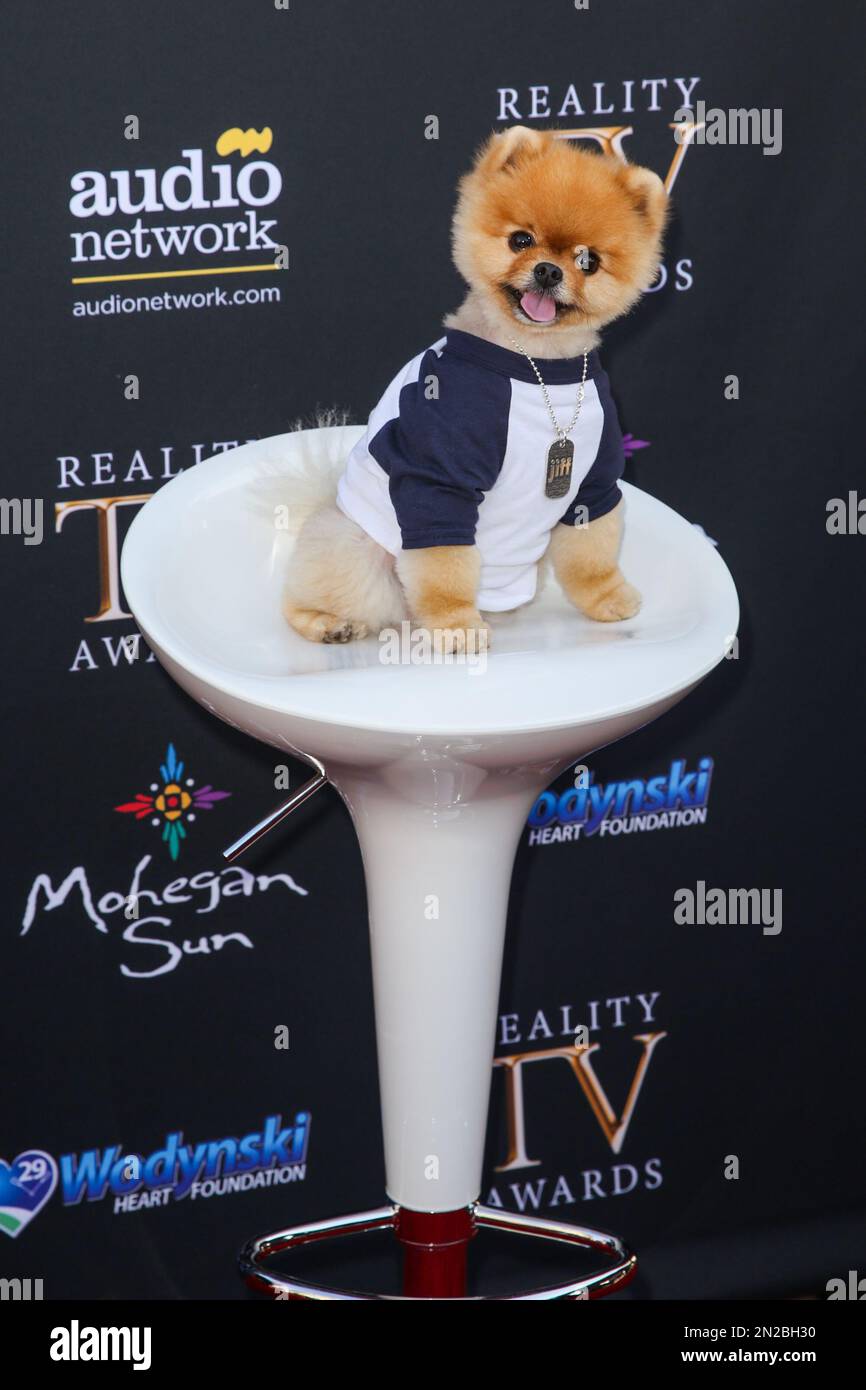 Jiff the Pomeranian is photographed at the 3rd Annual Reality TV Awards at the Avalon Hollywood ...