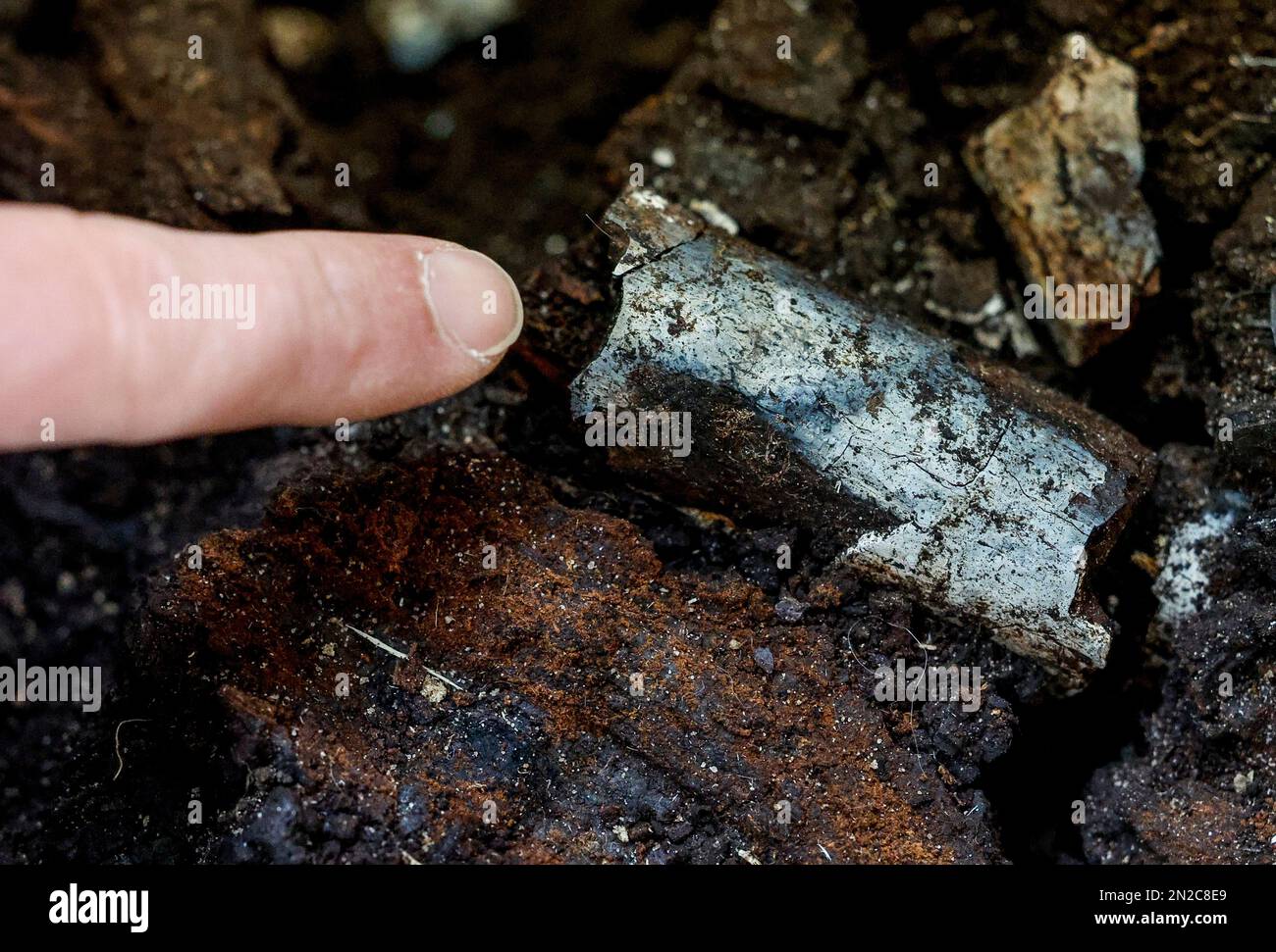 Schleswig, Germany. 02nd Feb, 2023. A prehistorian uncovers human ...