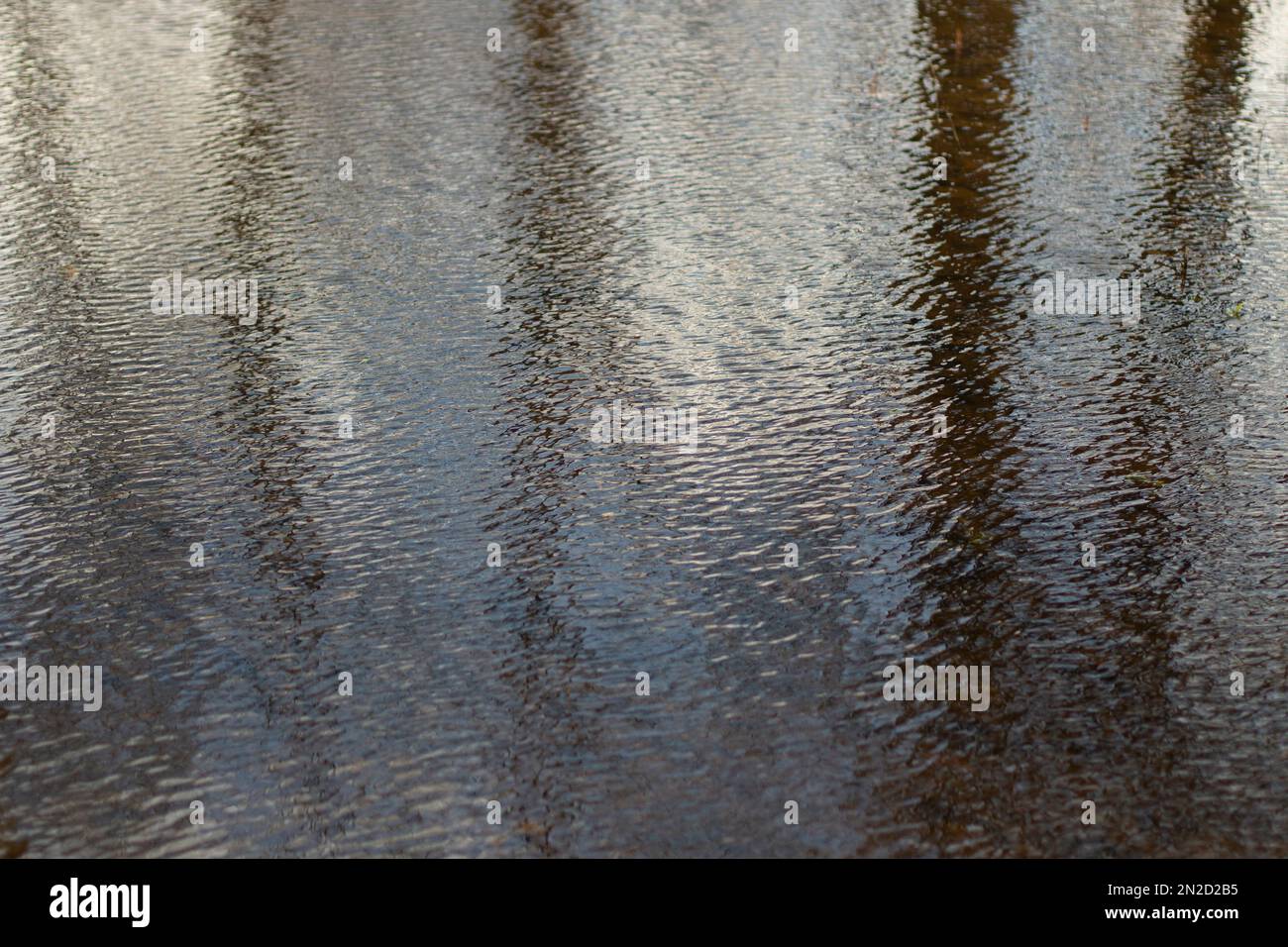 Waves on water. Wind on surface of water. Reflection in puddle. Details ...