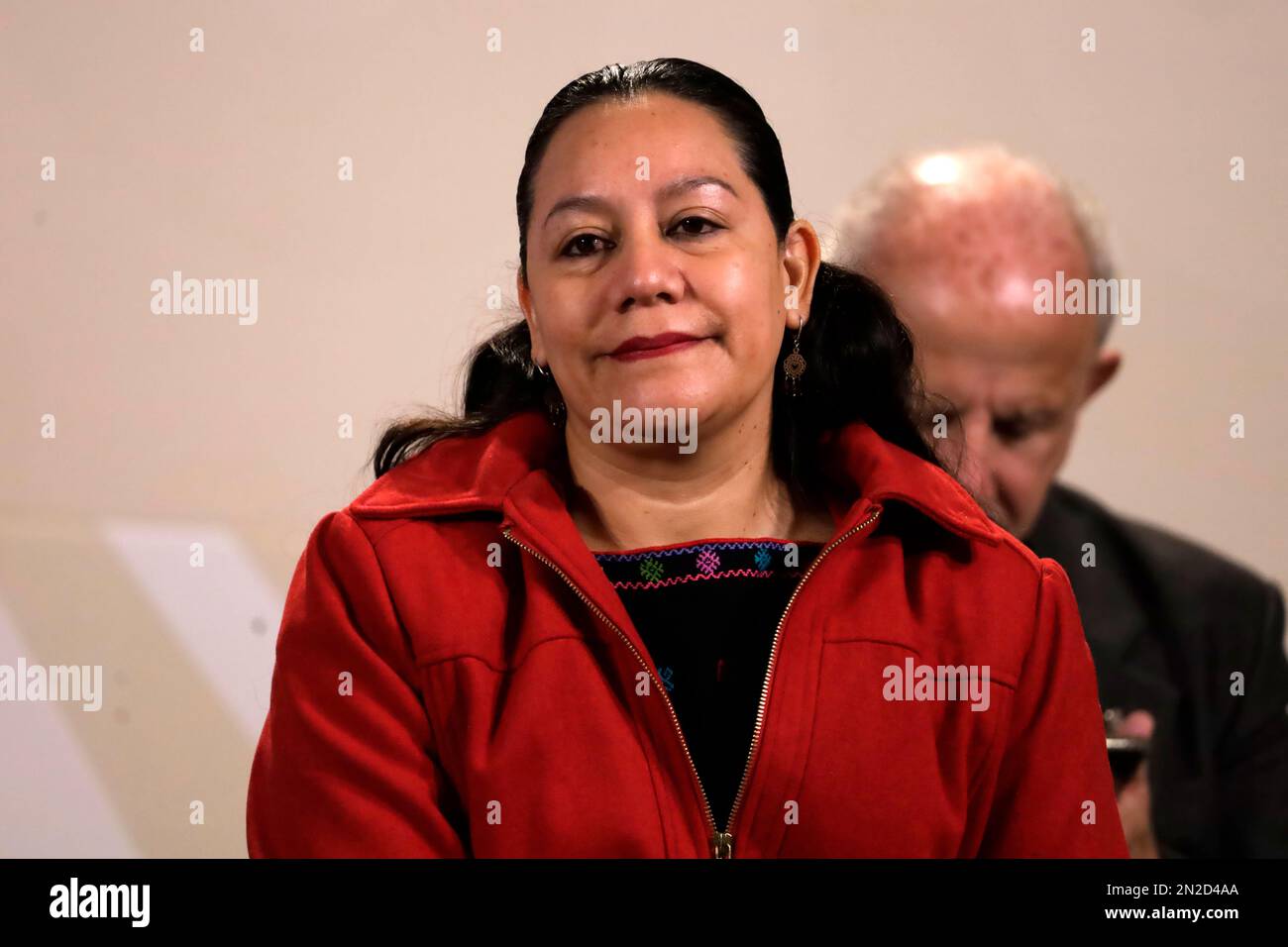 Non Exclusive: February 6, 2023, Mexico City, Mexico: Secretary of ...