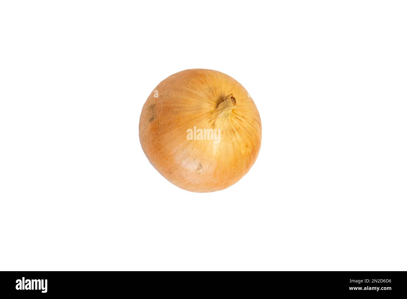 One onion bulb isolated on white background Stock Photo - Alamy