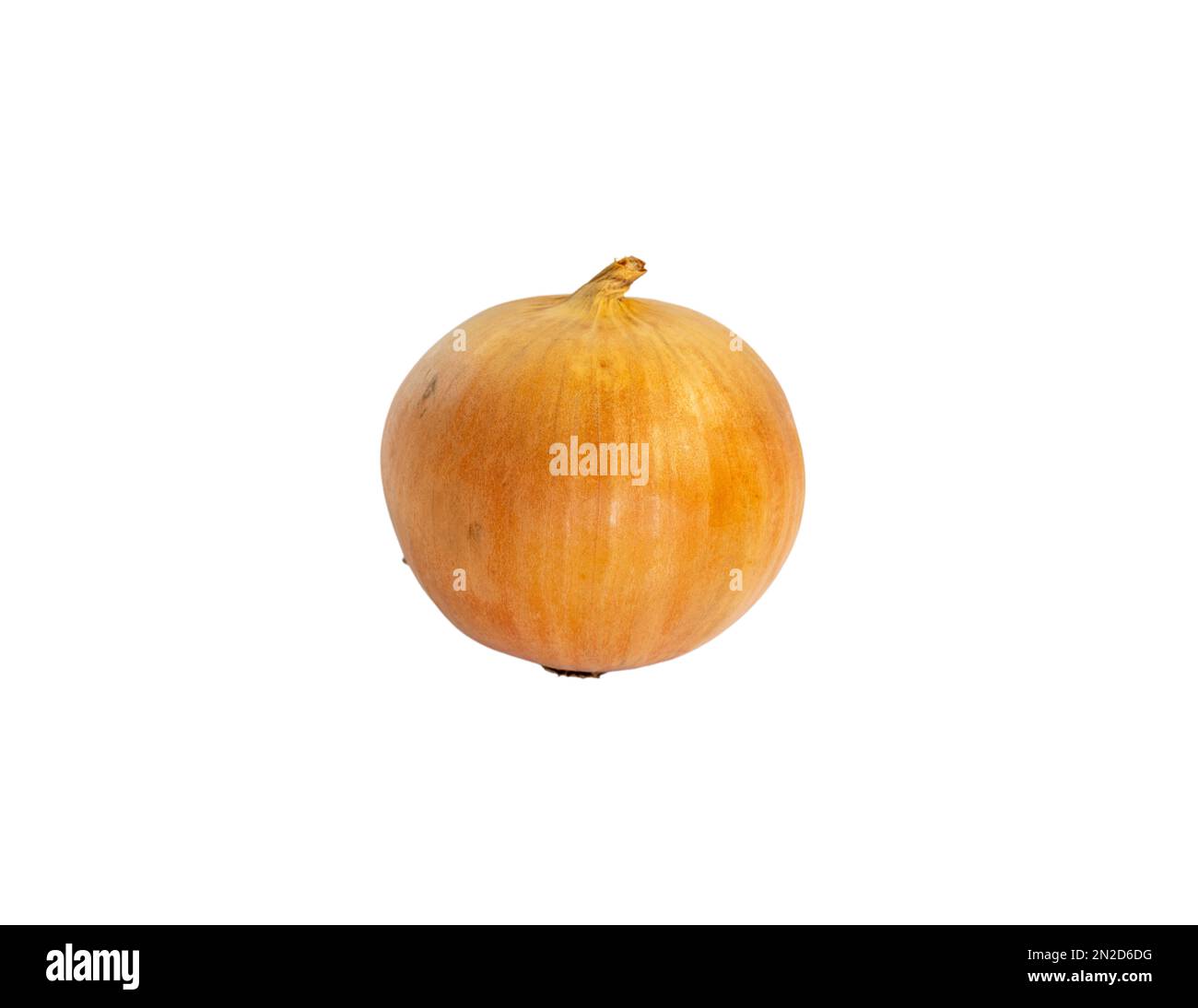 Single onion isolated on white background Stock Photo - Alamy