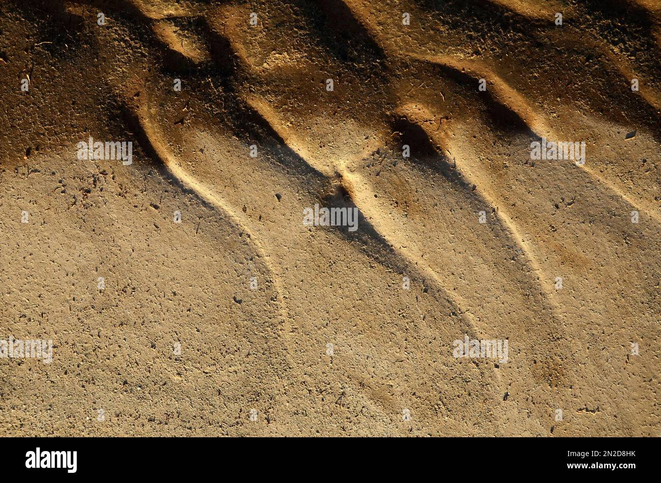 Brown coloured sand formation from flood wave on the shore after high ...