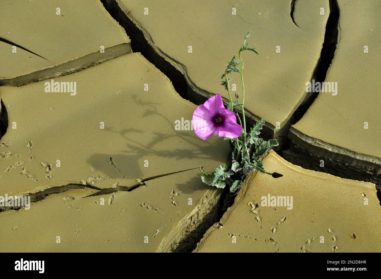 Ploughed field deep furrows hi-res stock photography and images - Alamy
