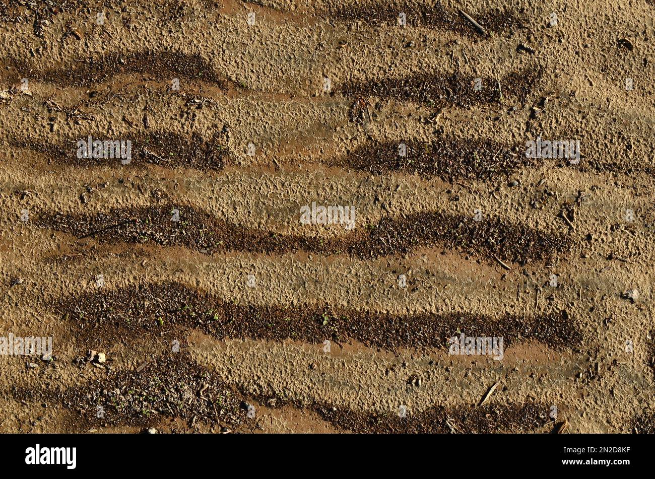 Sand formation in wave form on the shore after high water Stock Photo ...