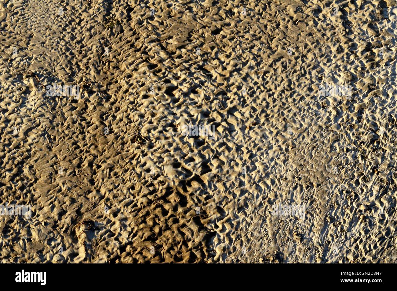 Sand formation of run-off water on the bank after flooding Stock Photo ...