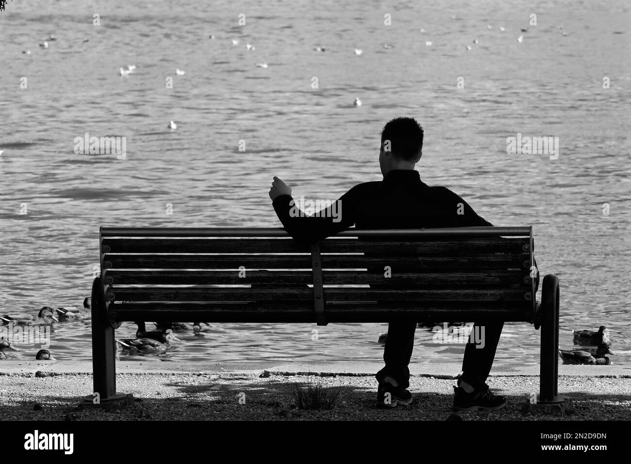 Man water feeding Black and White Stock Photos & Images - Alamy