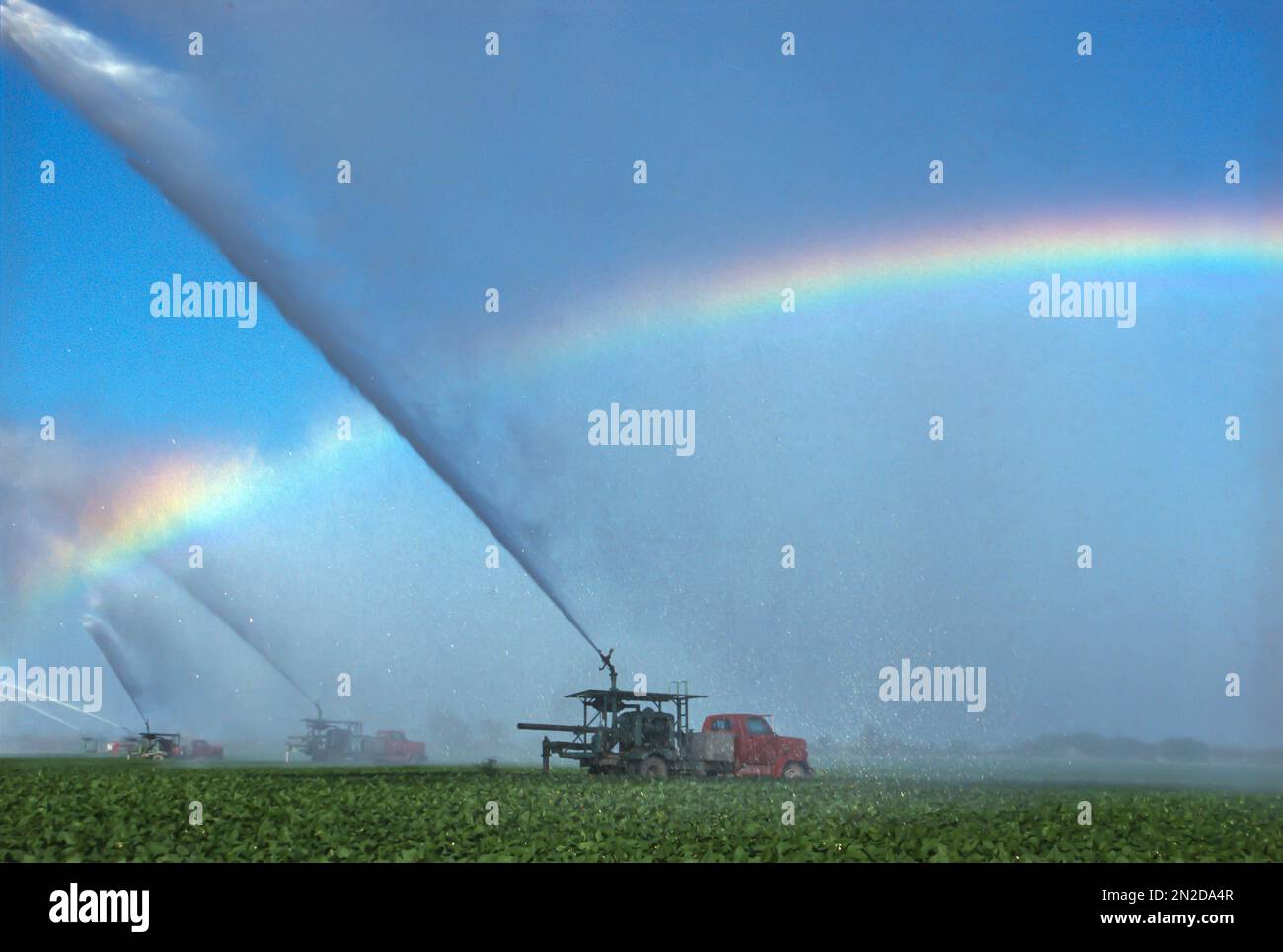 Bean field hi-res stock photography and images - Alamy