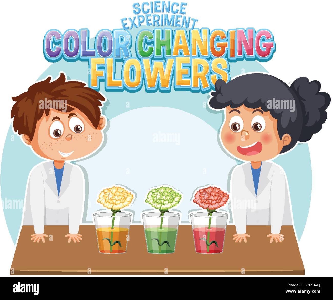 Color Changing Flowers Science Experiment illustration Stock Vector ...