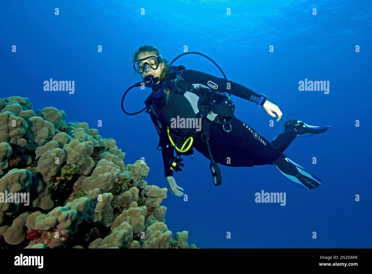 Young female scuba diver looking up swimming over dome coral (Porites ...
