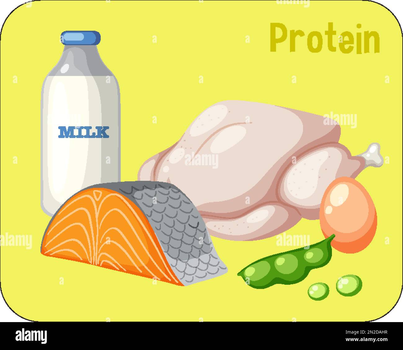 Variety of protein foods vector illustration Stock Vector Image & Art ...