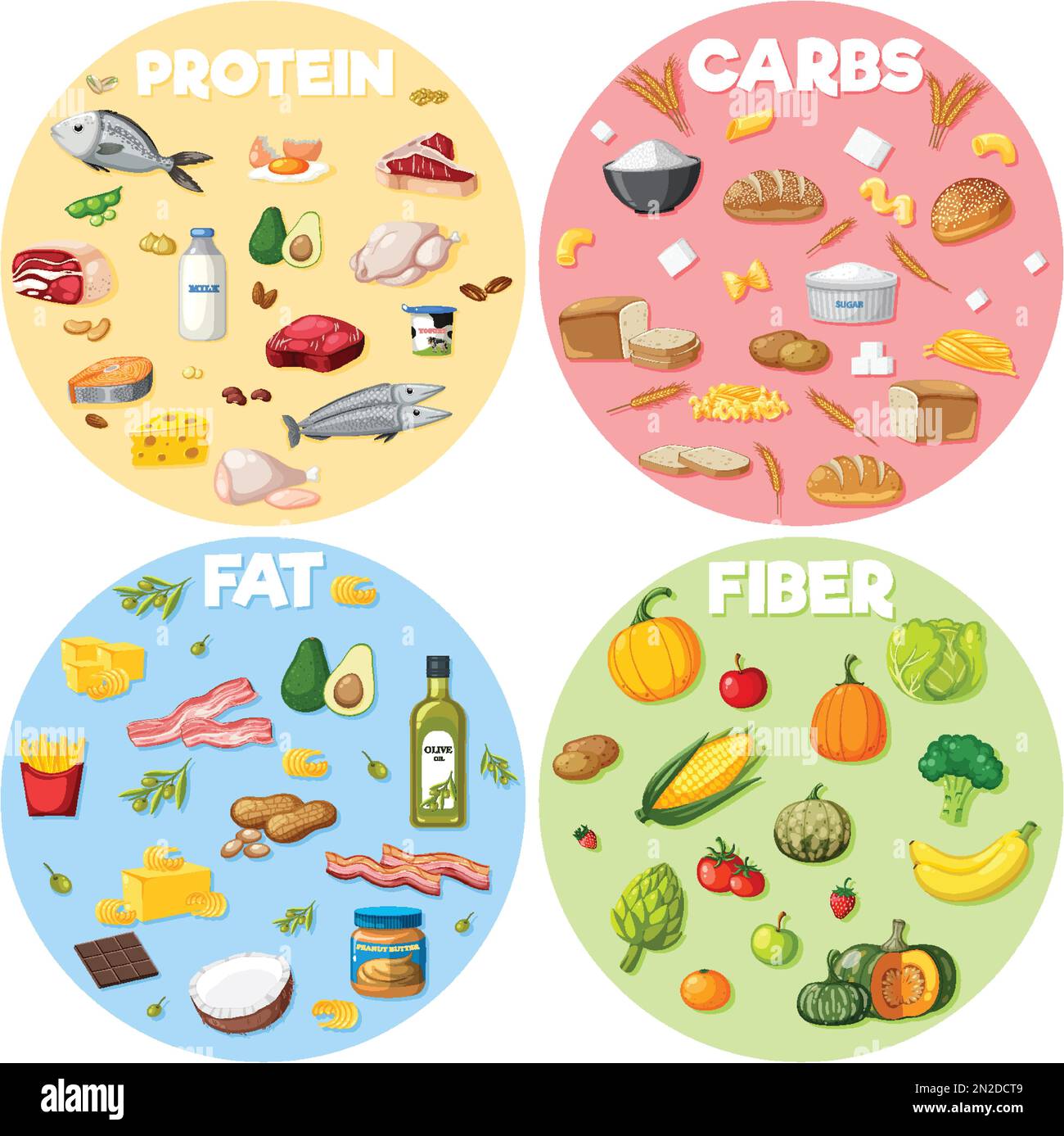 The four main food groups illustration Stock Vector Image & Art - Alamy