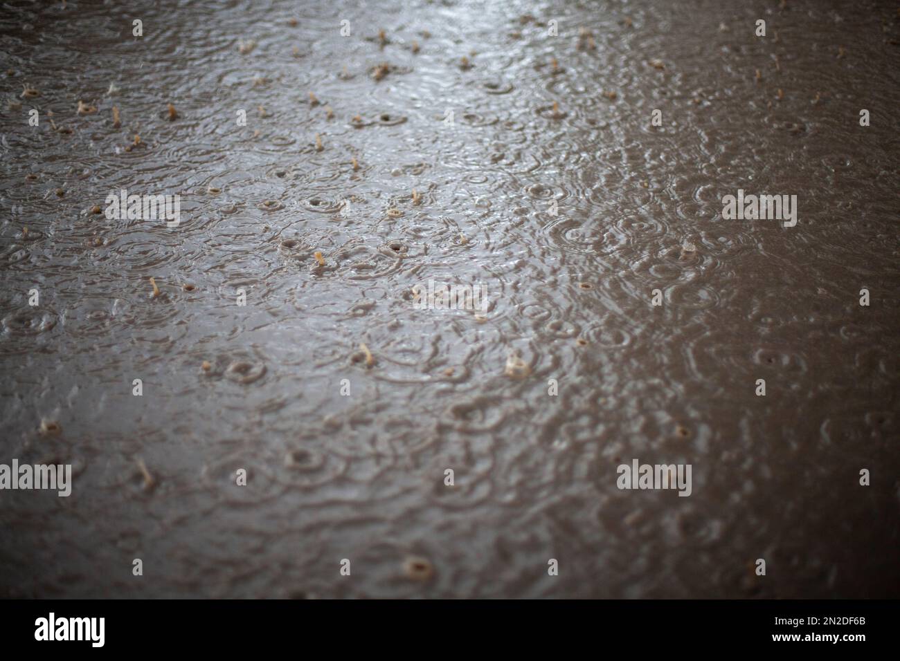 Rain and puddle. Rain outside. Texture of water. Liquid surface ...