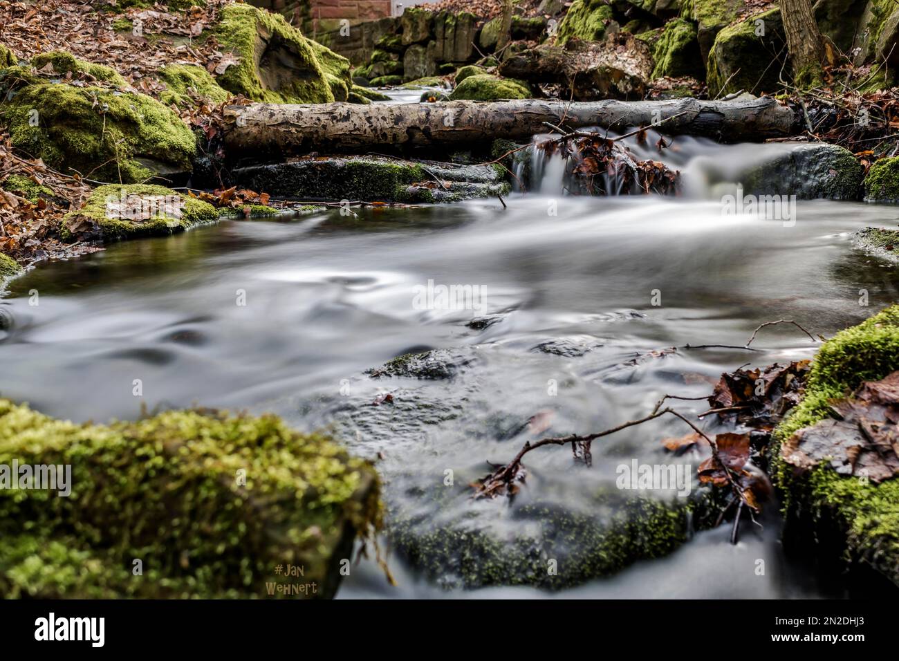Hesse forest hi-res stock photography and images - Alamy