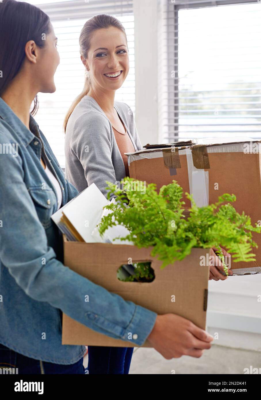 Bringing some life into the office. Two female businesswomen moving ...