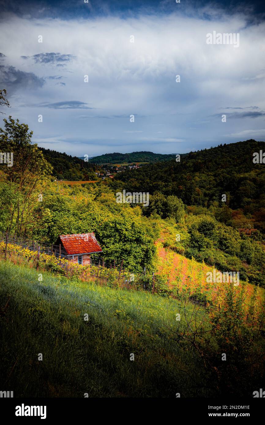 Small green hut hi-res stock photography and images - Alamy