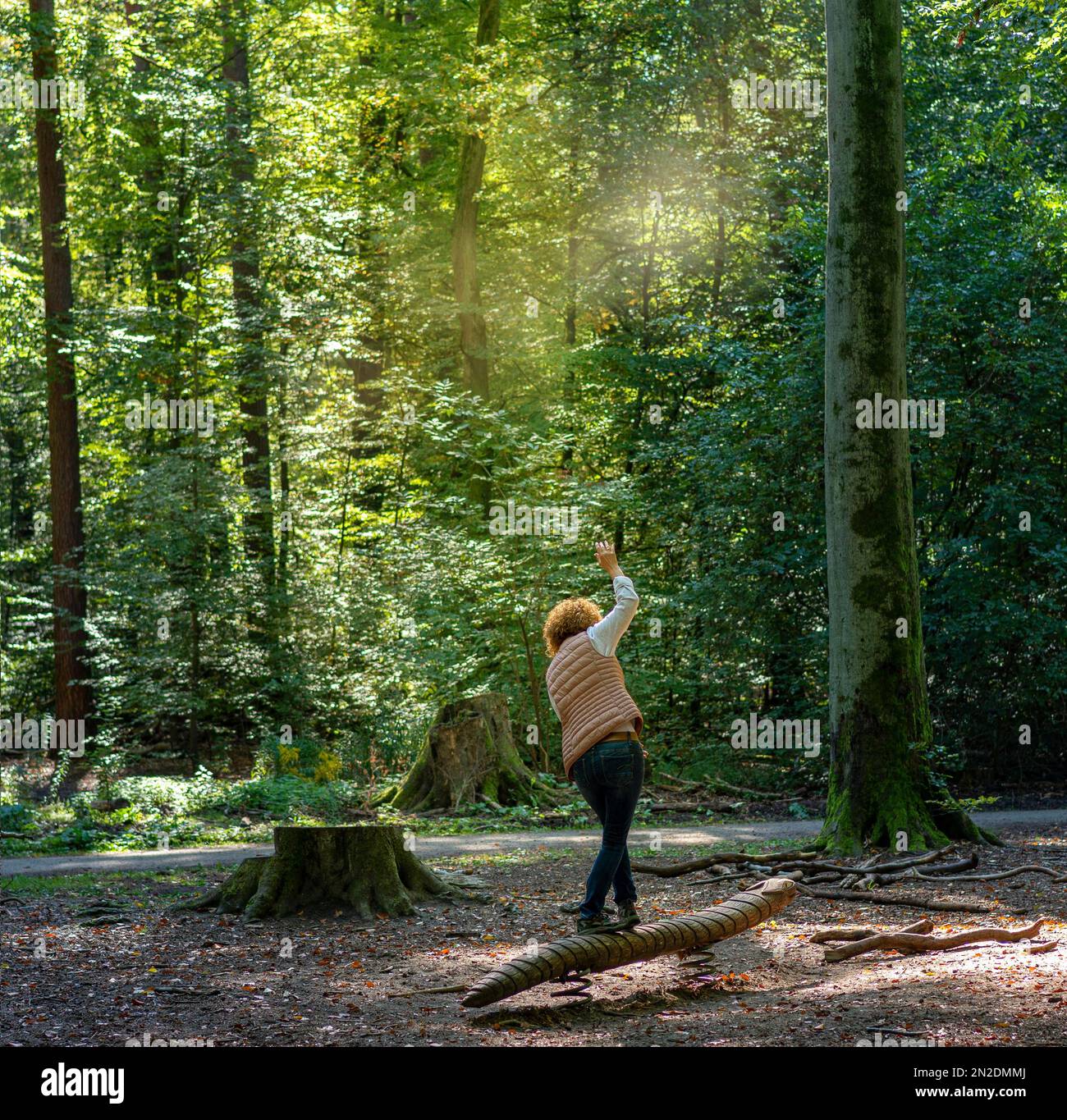 Woman balancing on a log in the forest, Berlin, Germany Stock Photo - Alamy
