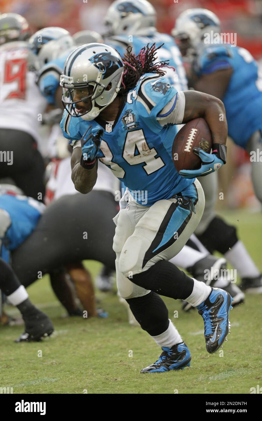 Carolina Panthers DeAngelo Williams runs with the football during the ...