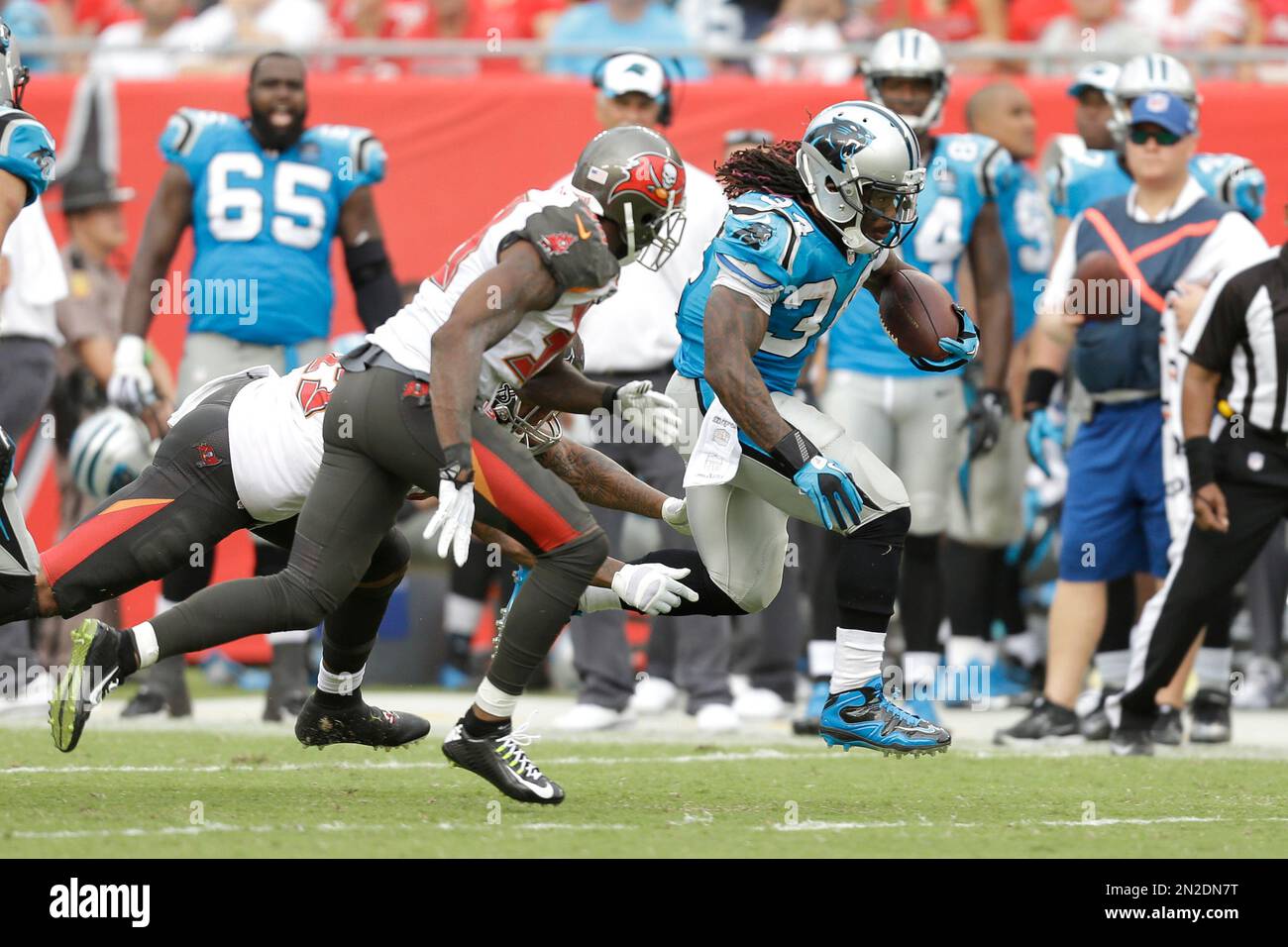 Carolina Panthers DeAngelo Williams runs with the football during the ...