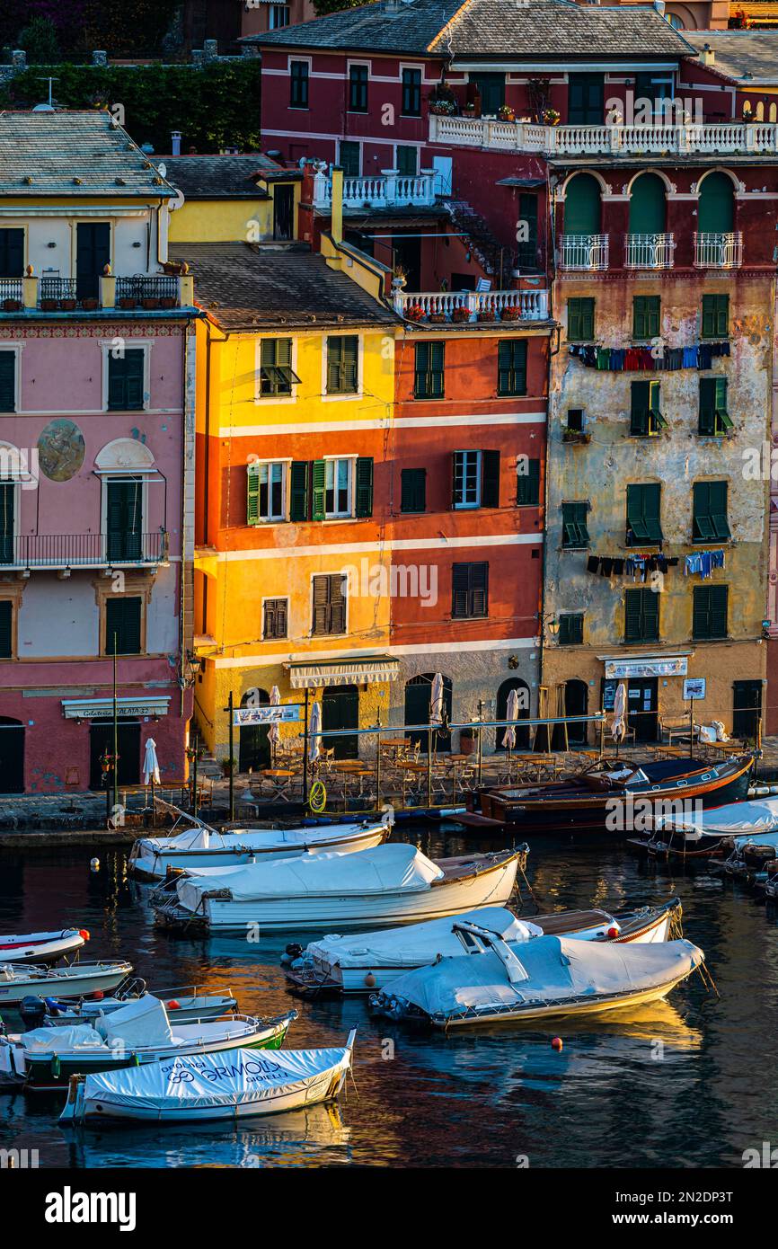 Boats anchor in Portofino harbour in front of pastel-coloured house ...