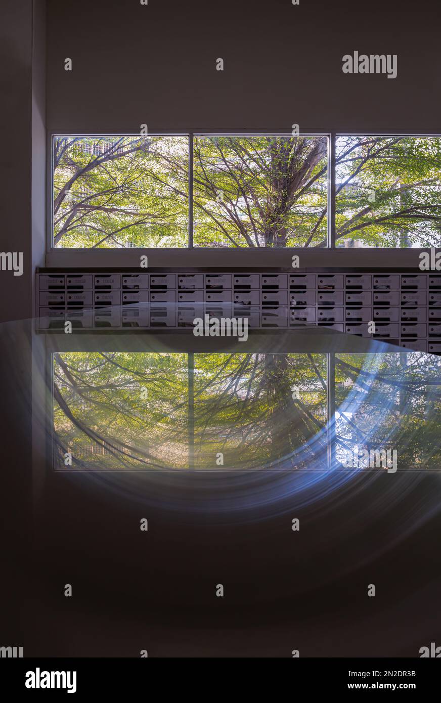 Bangkok, Thailand - 28 Jan, 2023 - Windows view with big tree ...