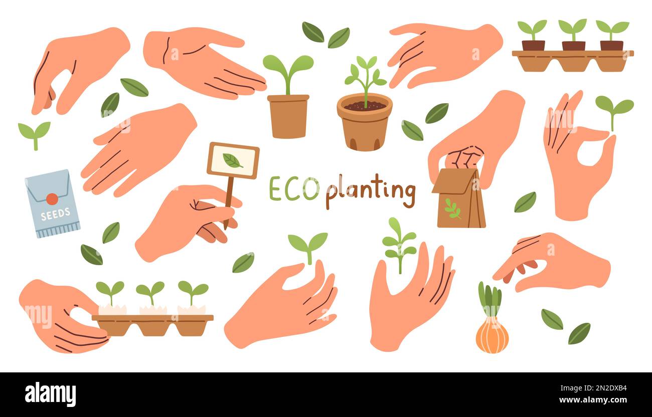 Eco planting. Plant and sprout growing in hands flat design vector ...