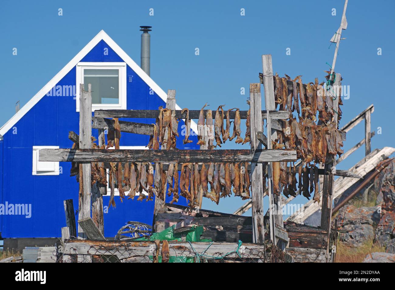 Racks of dried fish in front of simple wooden houses, Illimanaq, Disko ...