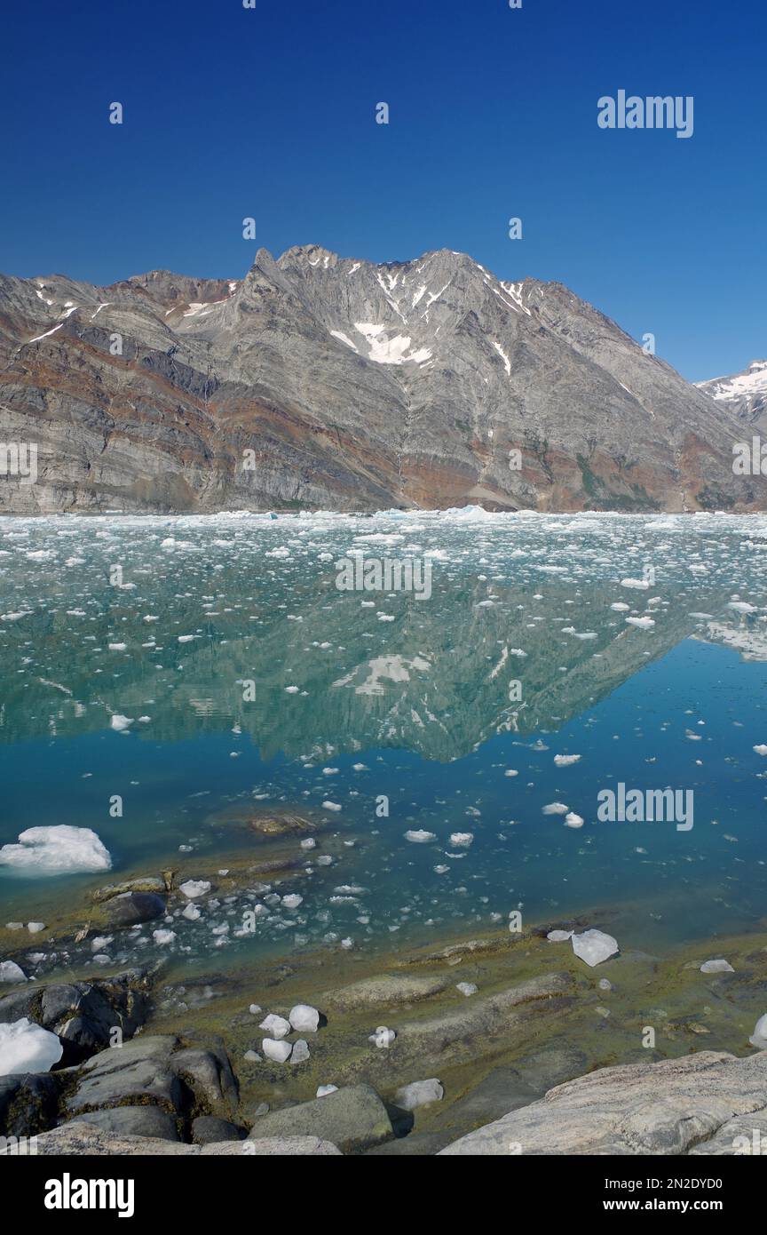 View of a fjord filled with drift ice, rugged mountains in the ...