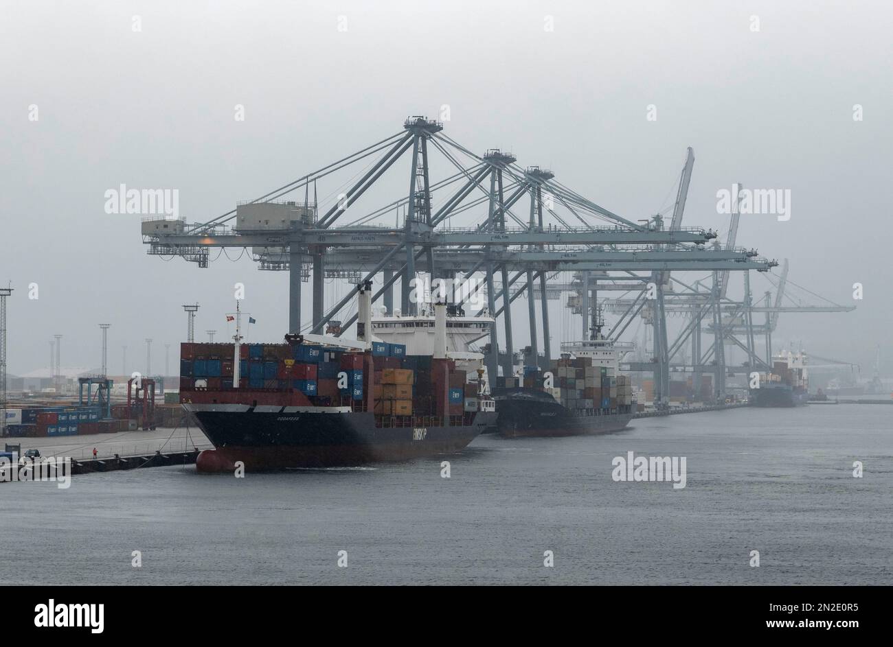 Container ships Godafoss (left) and MAGNUS F (centre) in the container ...