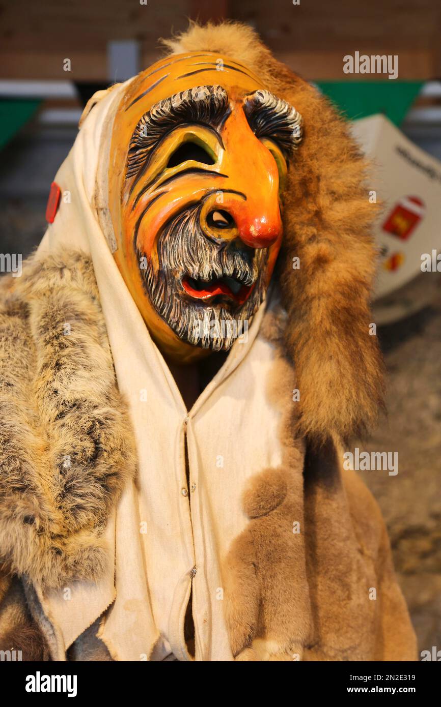 Fool's castle, carnival museum, carnival costume, mask, Hettingen ...
