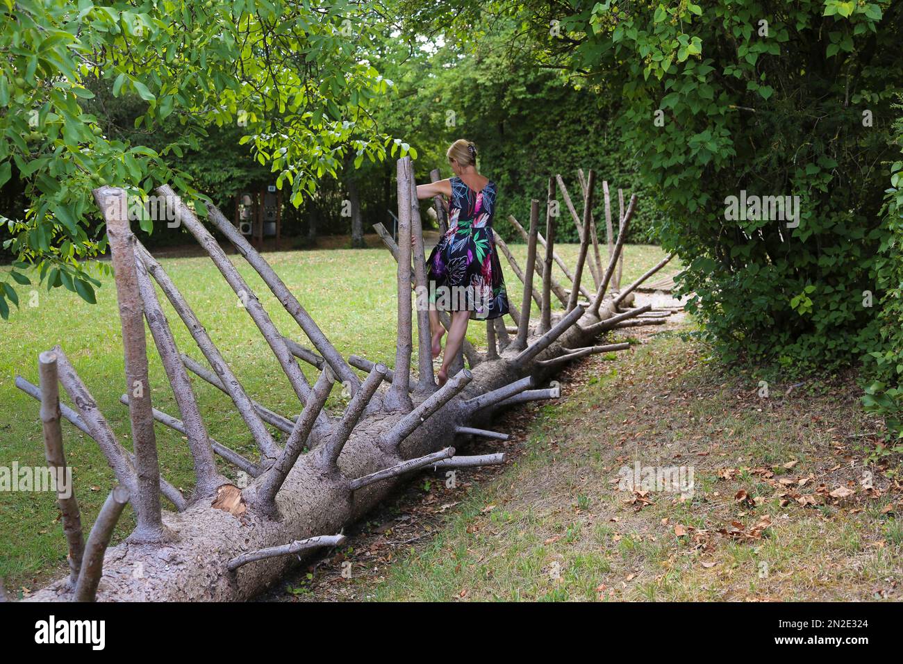Sensory and barefoot path in the spa gardens of Bad Sebastiansweiler ...