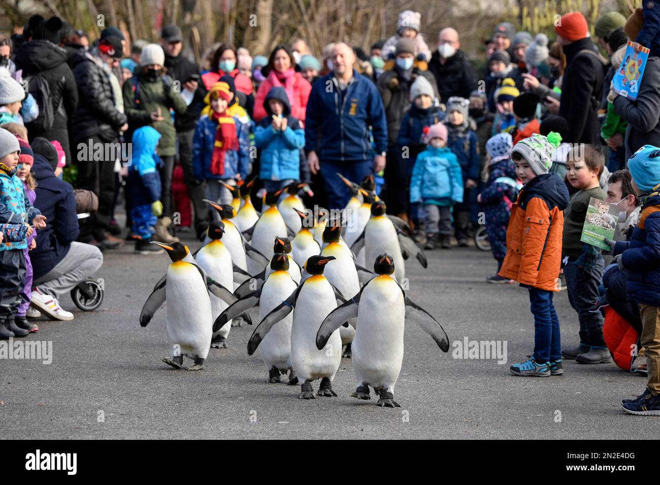 Zoo walk hi-res stock photography and images - Alamy