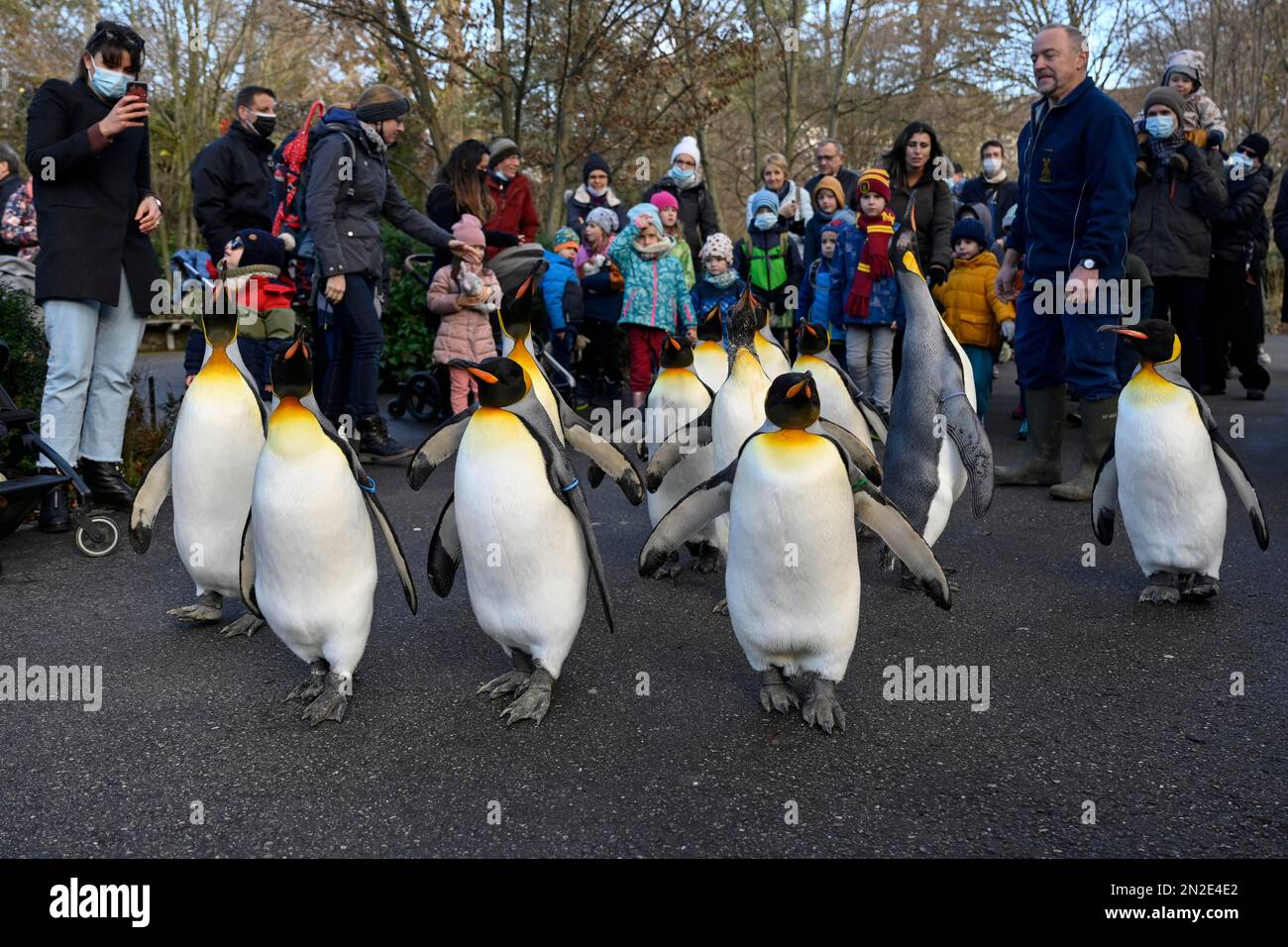 Zoo walk hi-res stock photography and images - Alamy