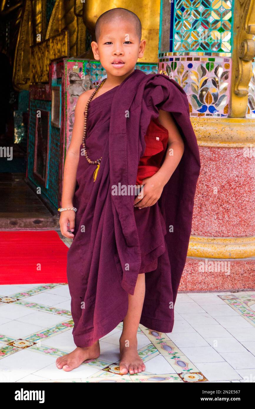 Monk Boy, Shwedagon Pagoda, Yangoon, Myanmar, Yangoon, Myanmar Stock Photo - Alamy