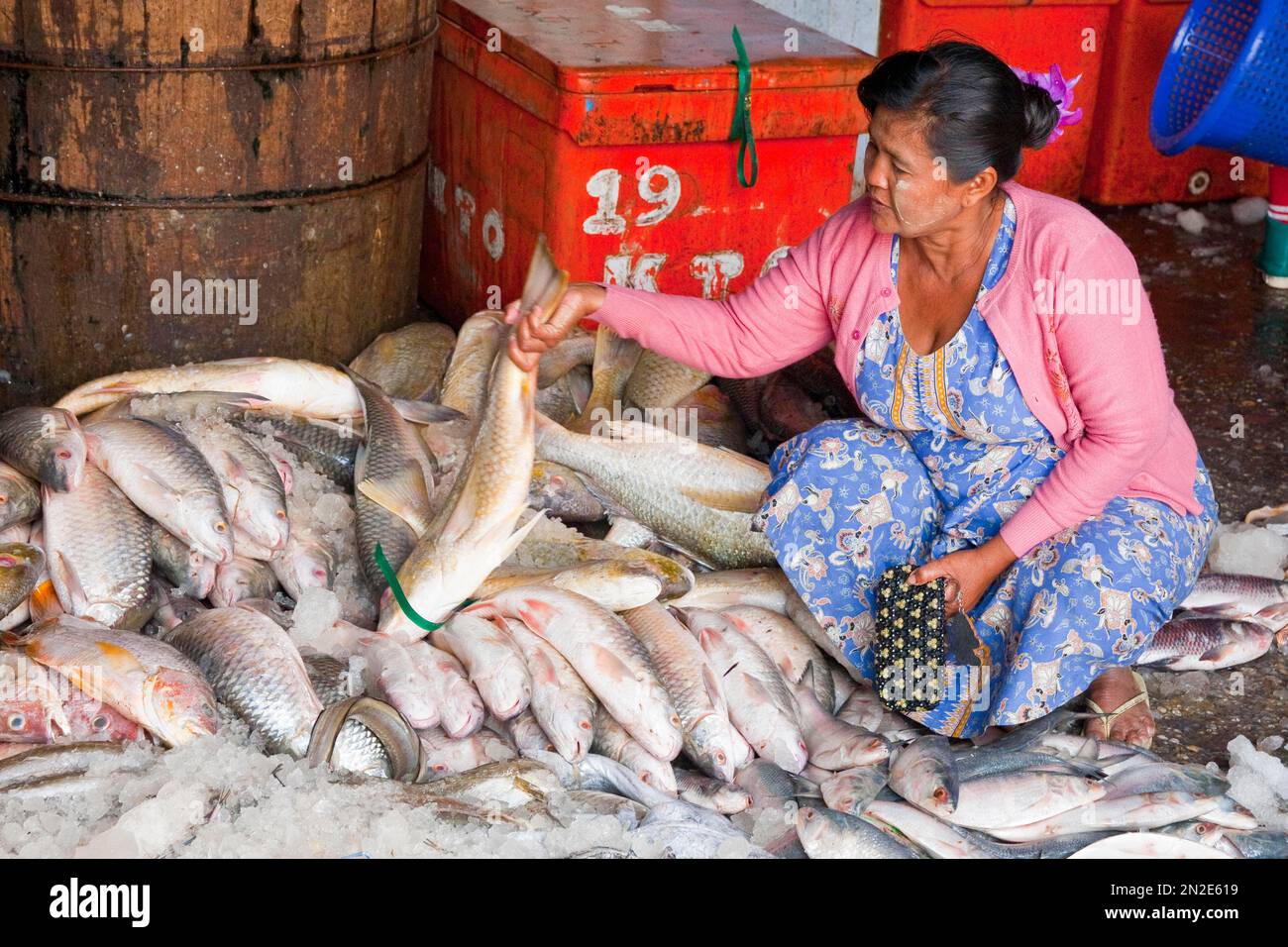 Kympyinthein Fish Market, Yangoon, Myanmar, Yangoon, Myanmar Stock ...